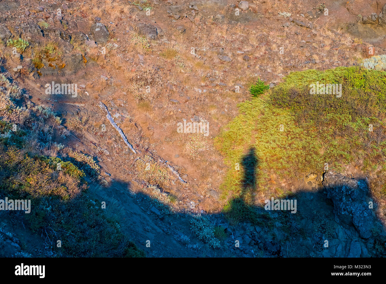 Iron Mountain Hike in Oregon Stock Photo - Alamy