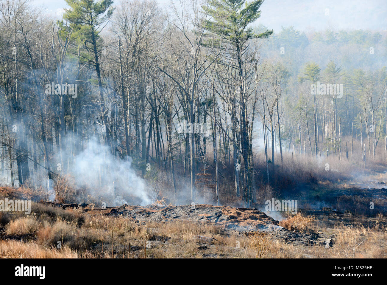 FTIG Controlled Burn 02 by PANationalGuard Stock Photo - Alamy