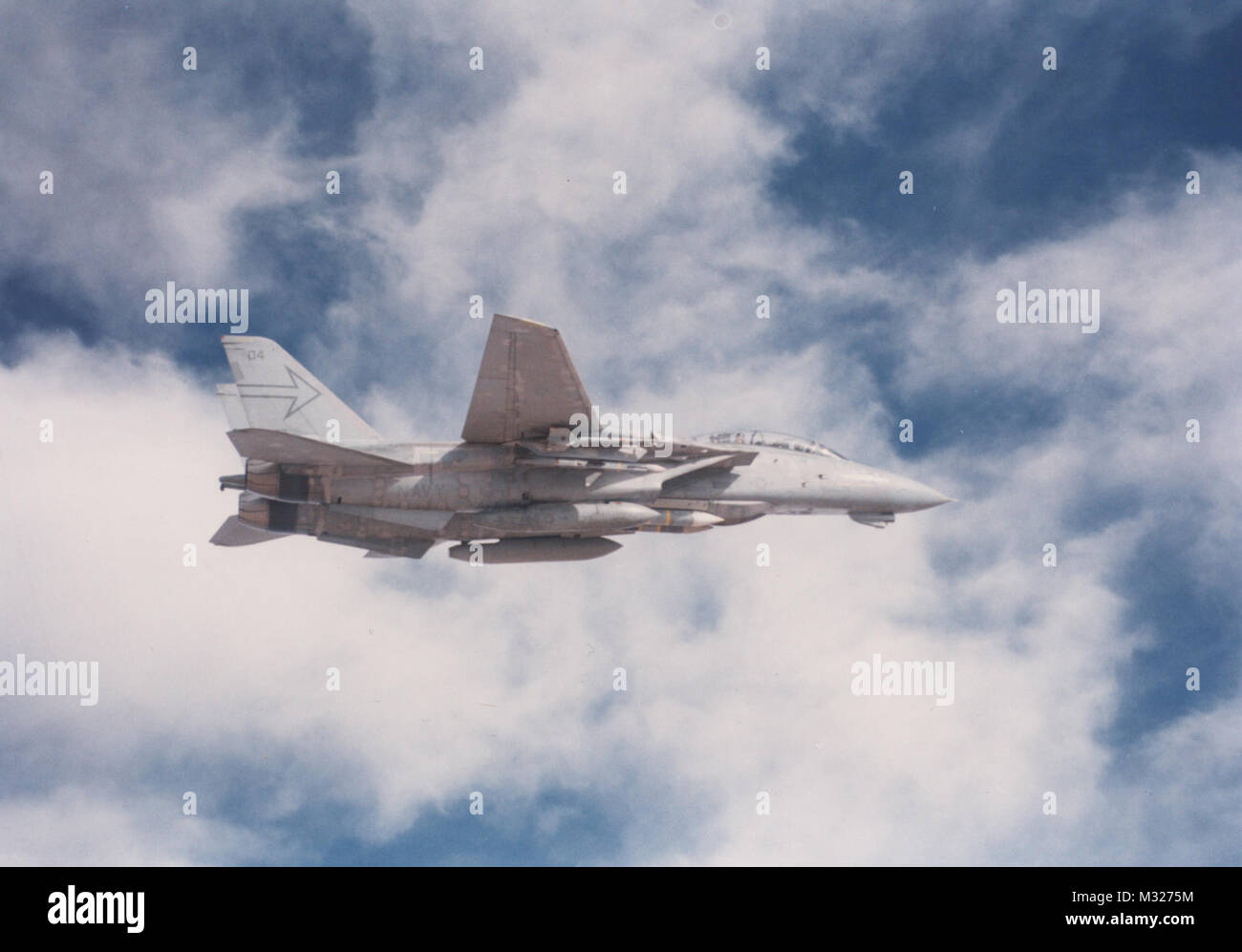 an f-14B loaded with 2 AIM-54 Phoenix, 2 AIM-9L sidewinders and 2 AIM-7 ...