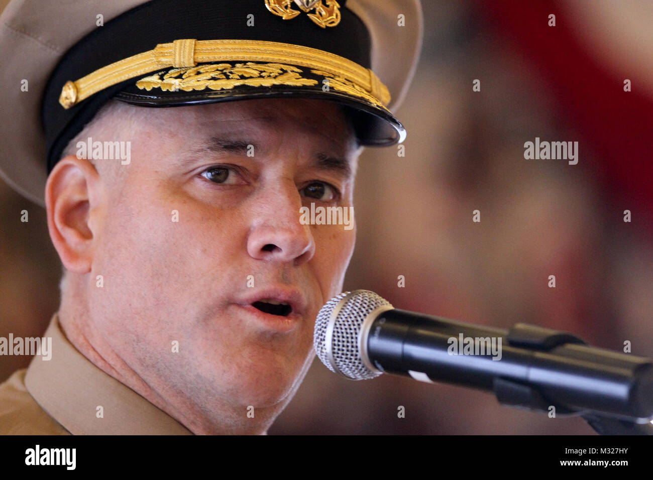 Special guest seal hi-res stock photography and images - Alamy