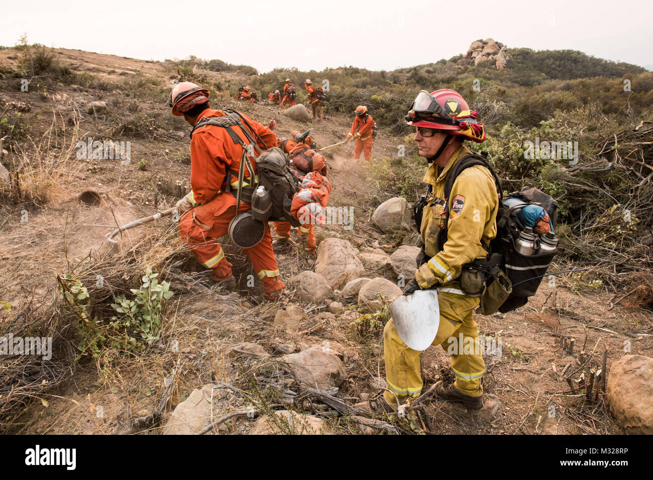 California Department of Corrections inmate fire fighters clear a fire ...