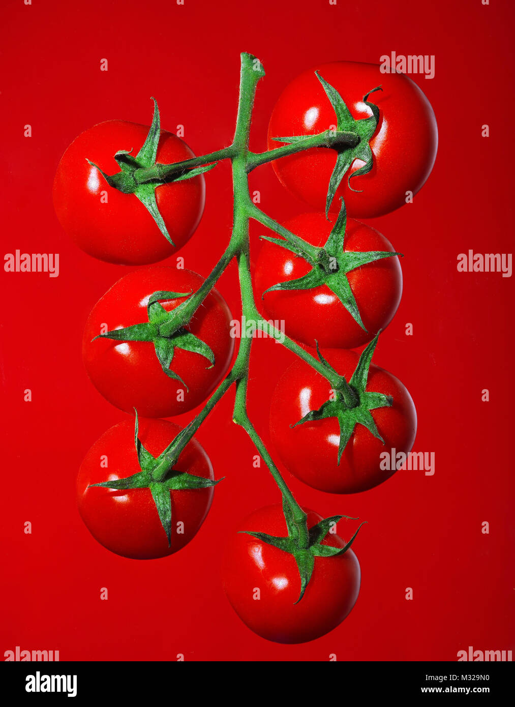 Close up bunch tomatoes vertical hi-res stock photography and images ...