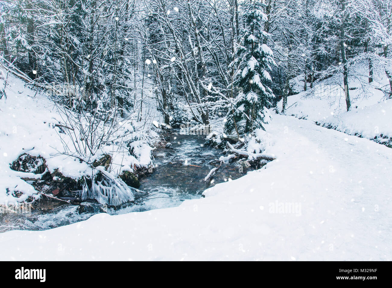Beautiful winter landscape in a forest. Cold weather, Black forest ...