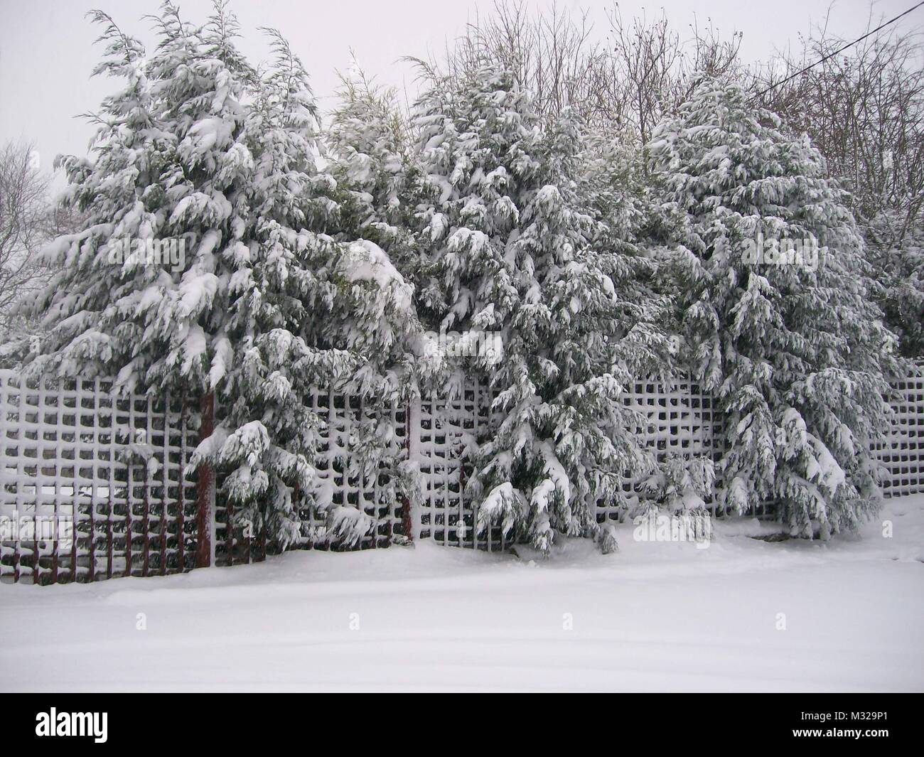 A snowy winter in Chesterfield Stock Photo - Alamy