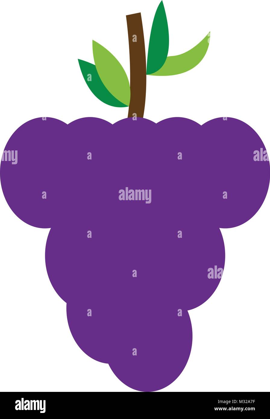 Ripe bunch blue grapes Stock Vector Images - Alamy