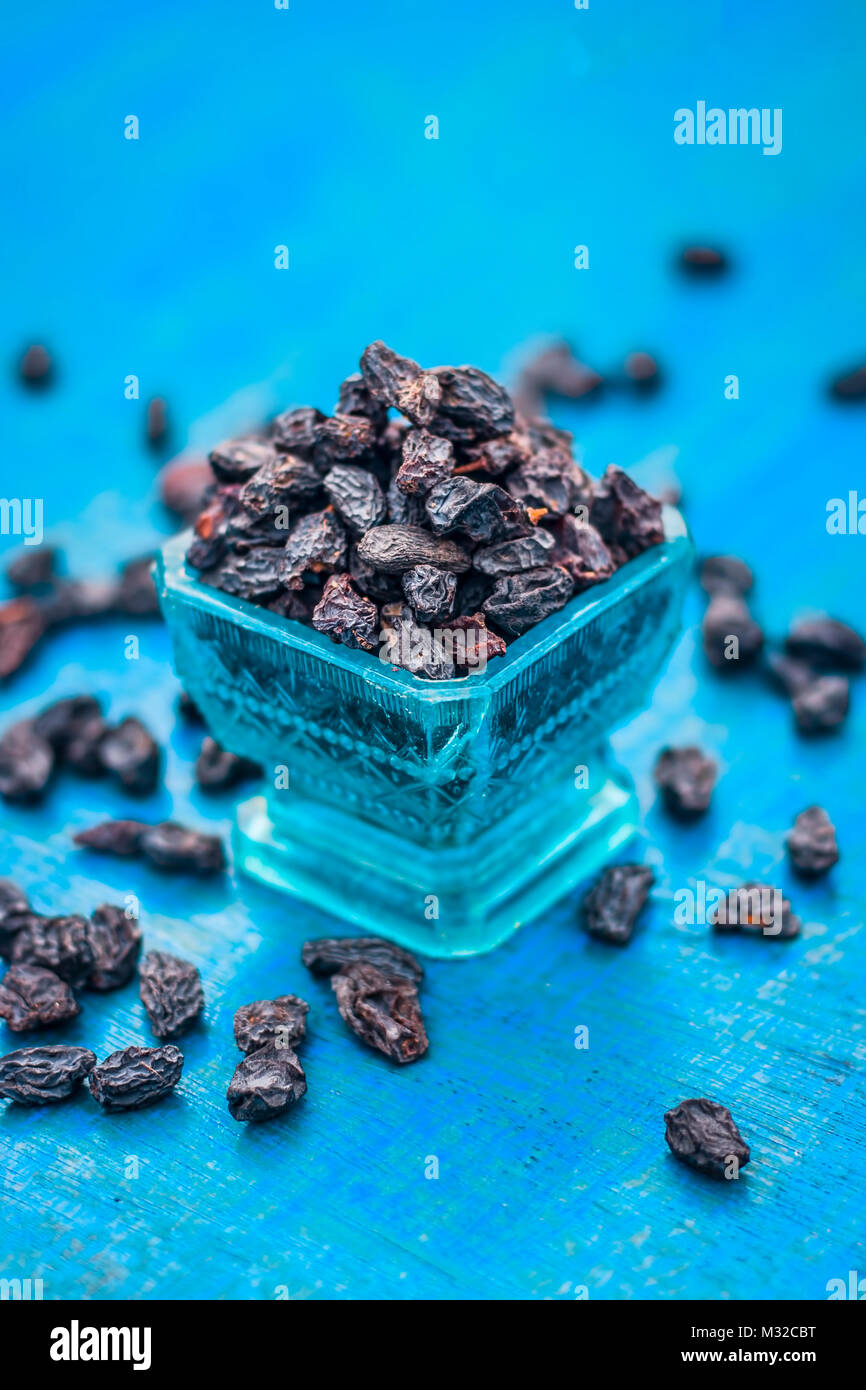 Close up of Black Raisin,Zante currant in a blue colored bowl Stock ...
