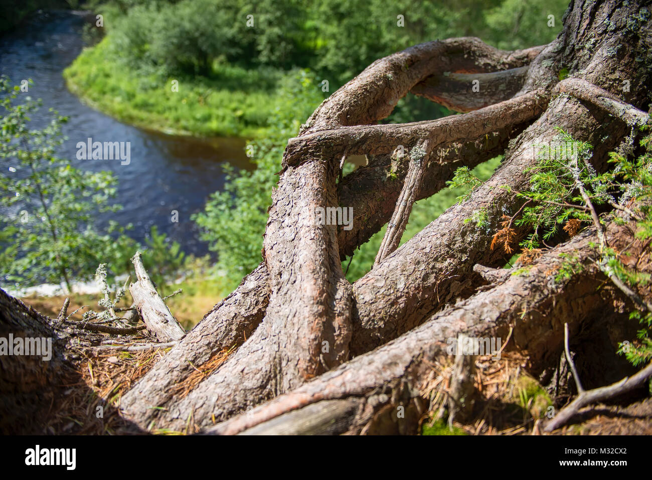 Pristine river system hi-res stock photography and images - Alamy