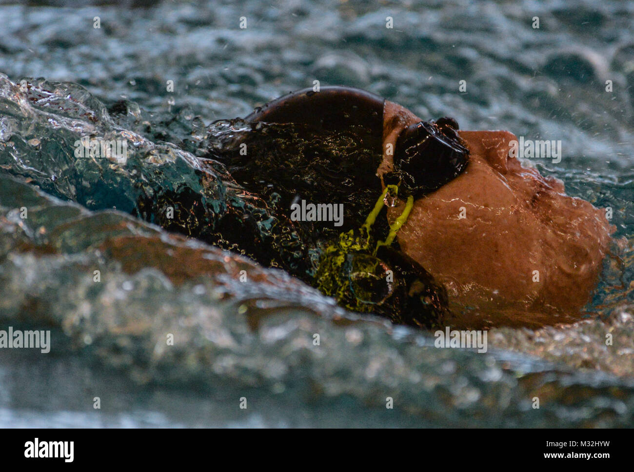 A member of Team USA competes in the 100 meter backstroke during the ...