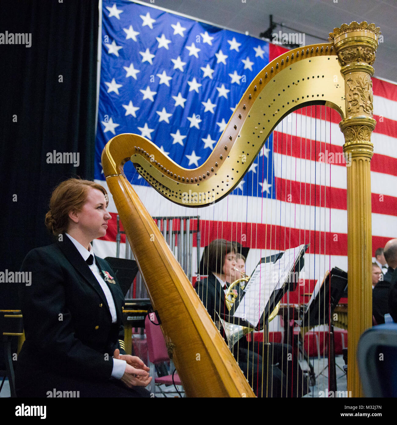 ERIE, PA (Feb. 29, 2016) Chief Emily Dickson, harpist of the U.S. Navy ...