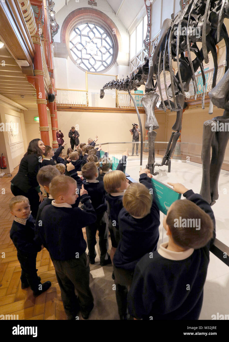 School children from Cheselbourne Village School take a look at the ...