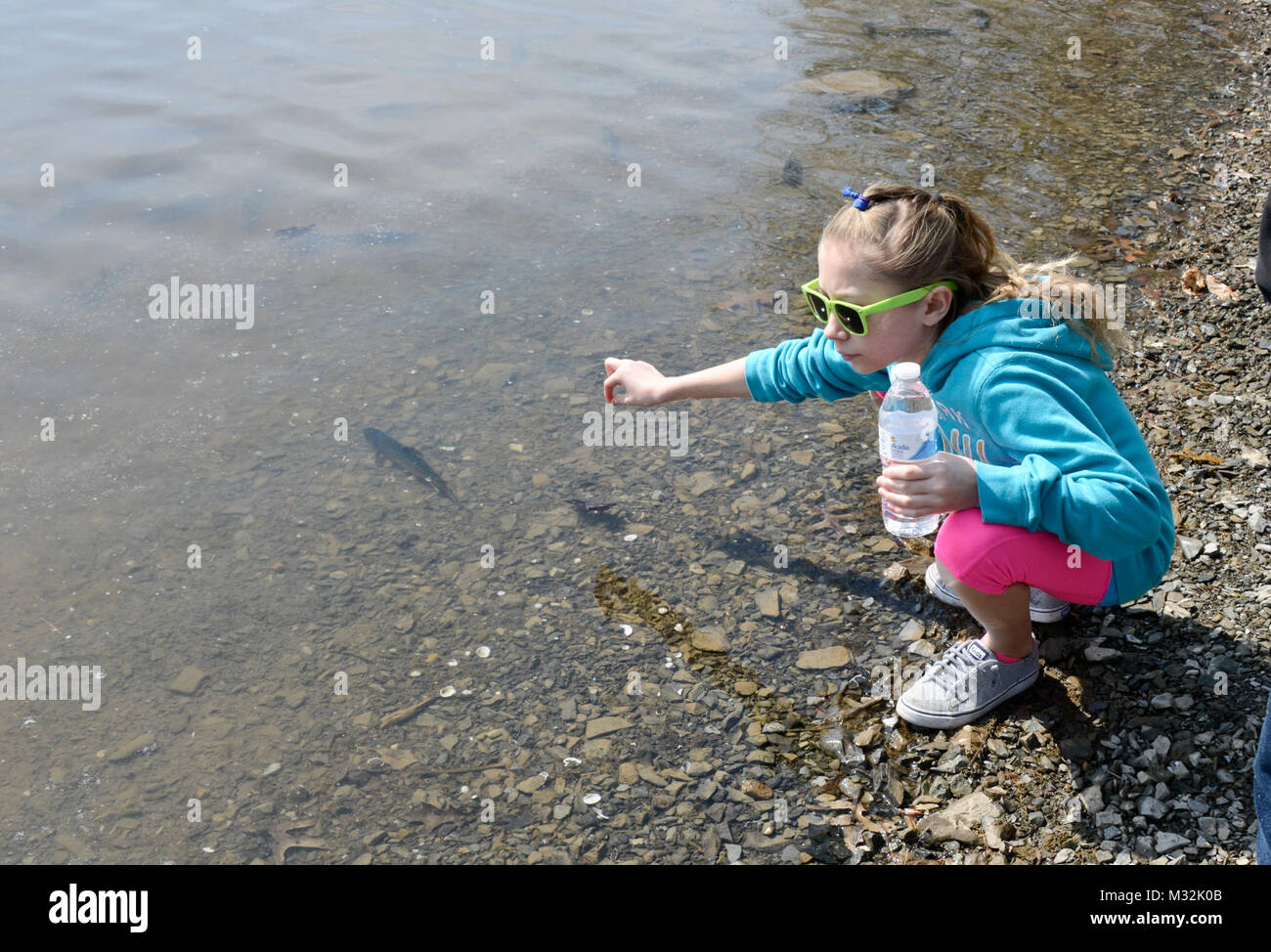 Trout Stocking 13 DSC9214 by PANationalGuard Stock Photo - Alamy