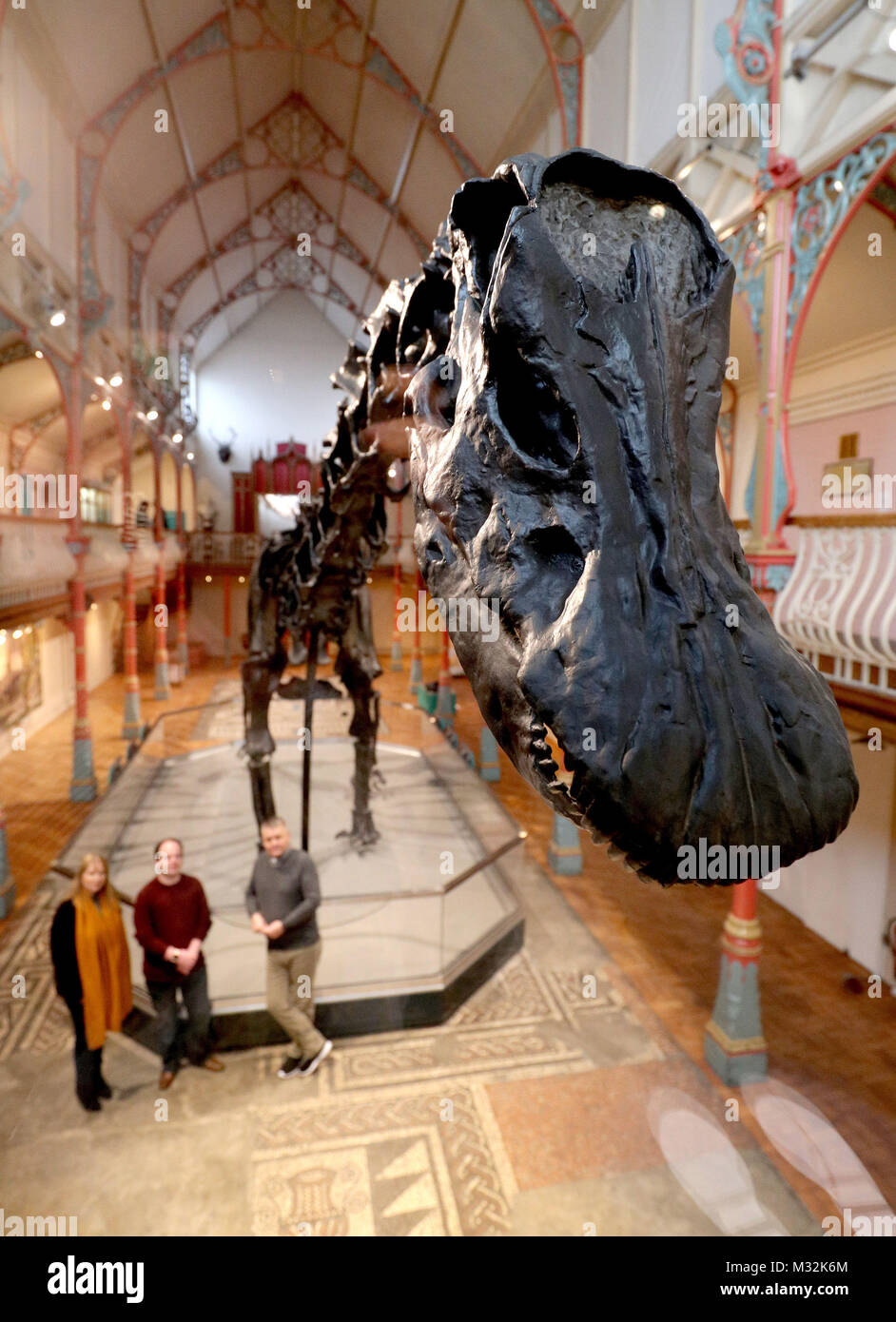 The Natural History Museum's Diplodocus skeleton cast, known as Dippy ...