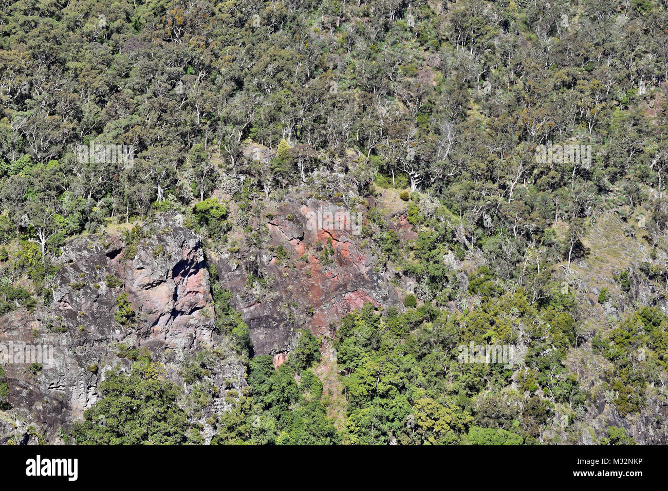 Bunya mountain national park hi-res stock photography and images - Alamy