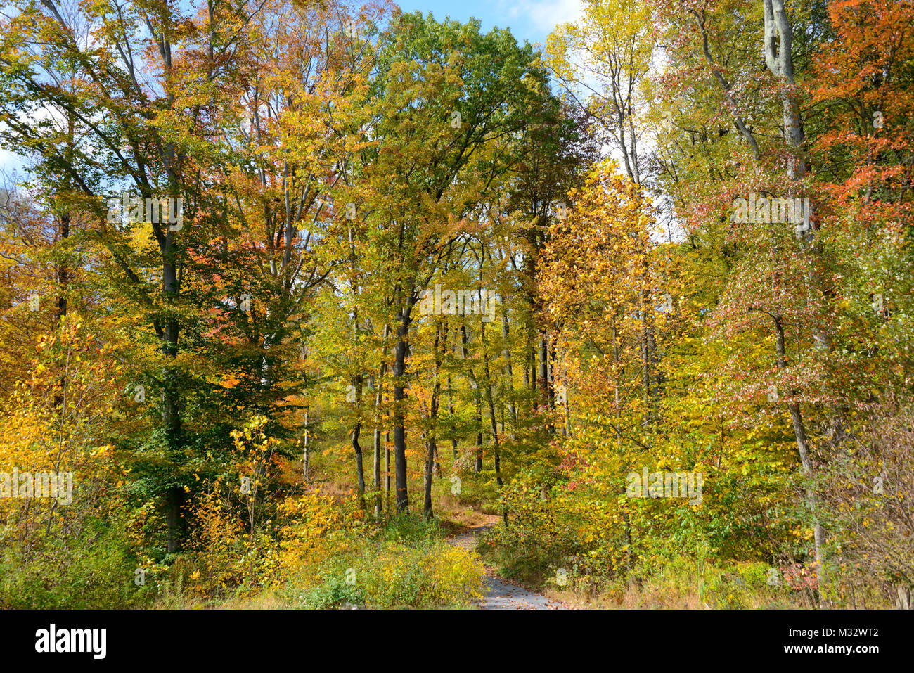 Ftig High Resolution Stock Photography and Images - Alamy