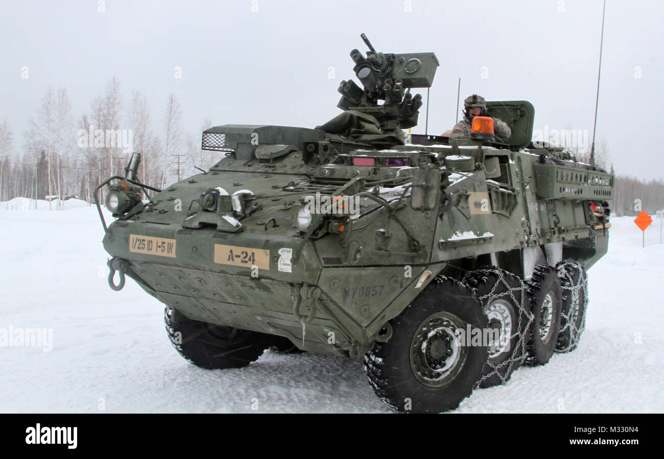 005 by 1 Stryker Brigade Combat Team Arctic Wolves Stock Photo - Alamy
