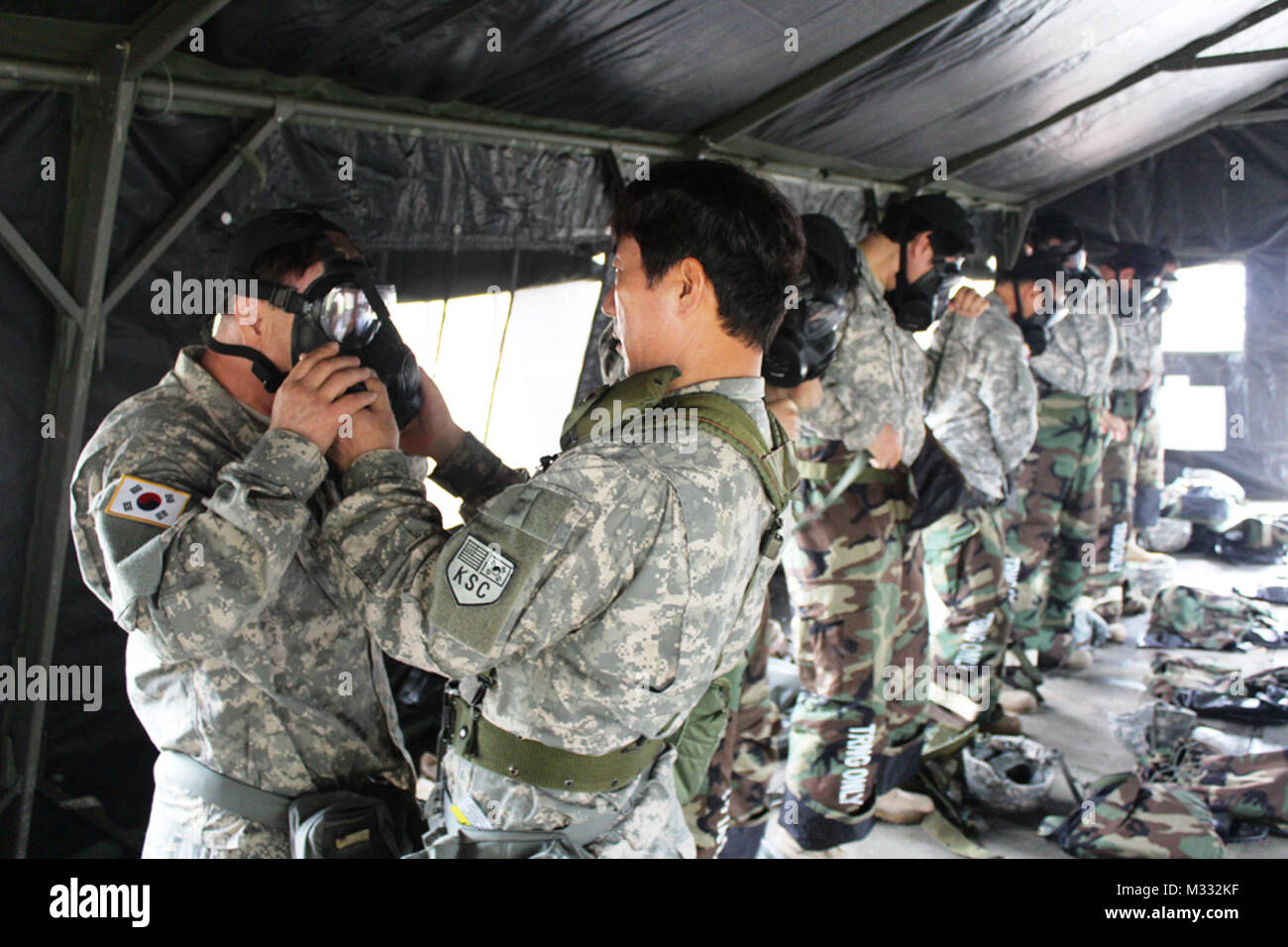 Army Warrior Training testing by #PACOM Stock Photo - Alamy