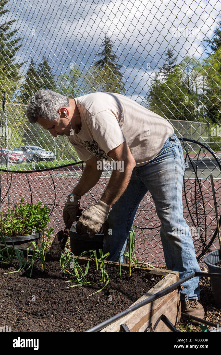 Man garlic hi-res stock photography and images - Alamy