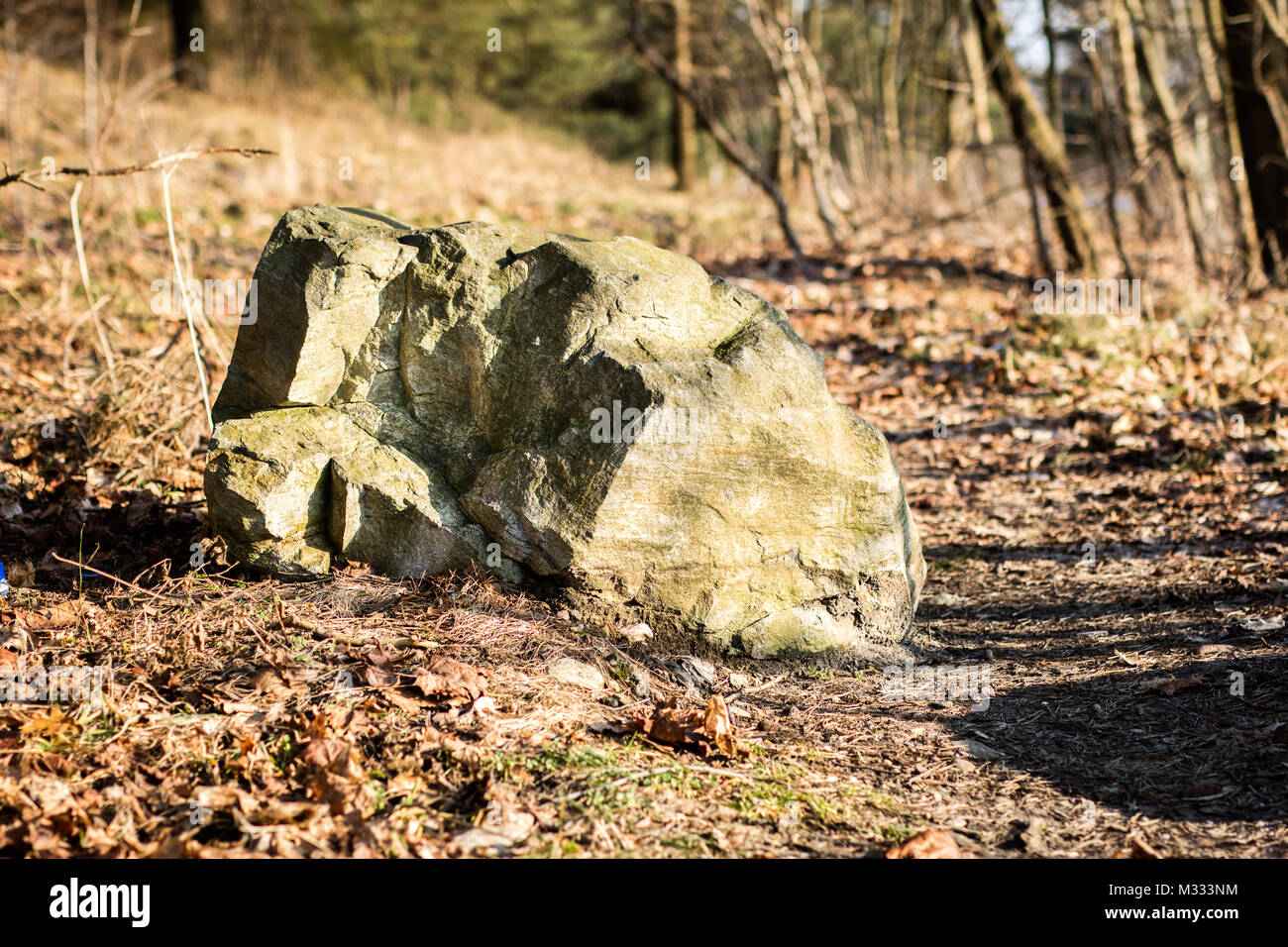 Erratic stones in the forest. The environment, stones lying in the ...