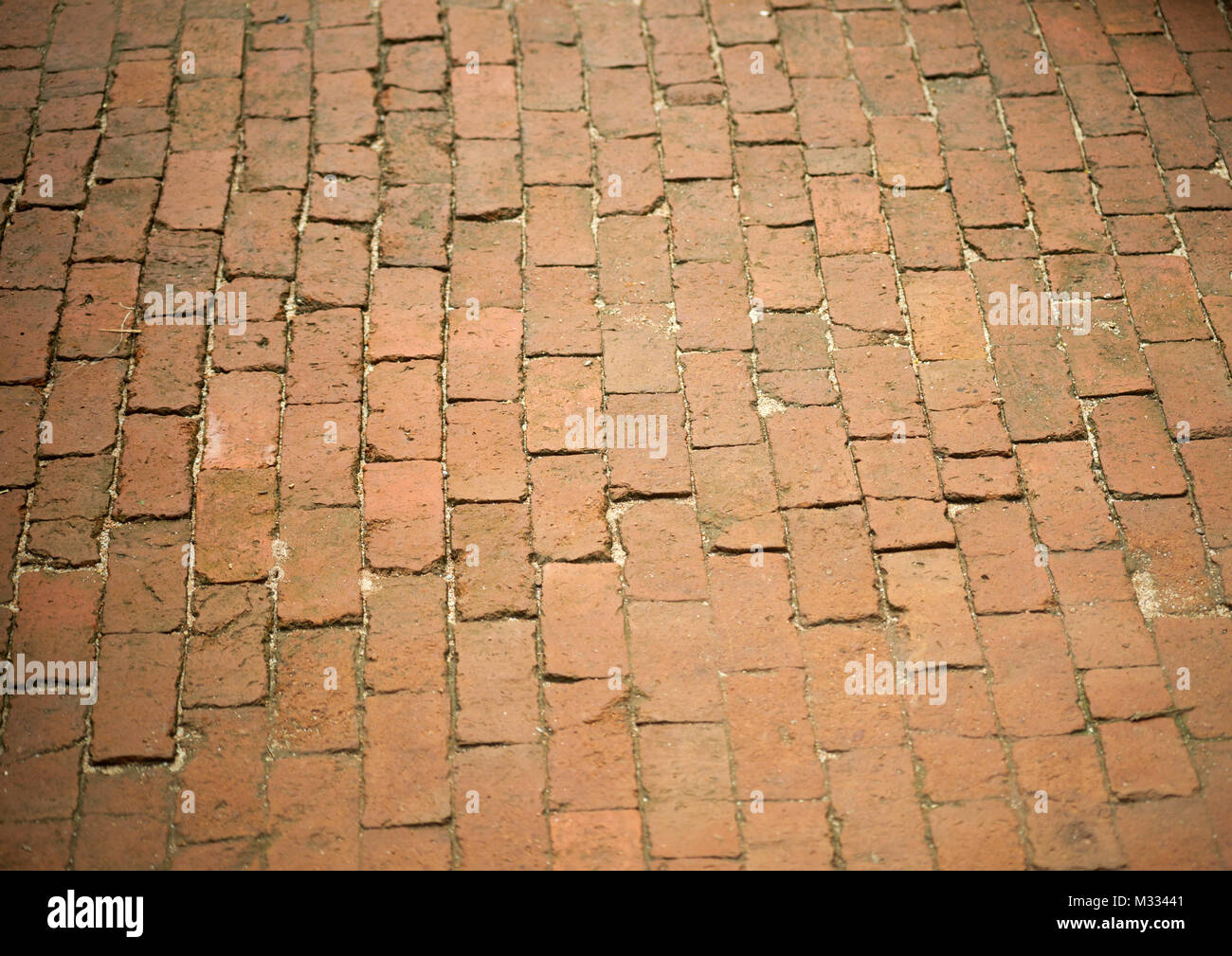 Close up shot of pavement background Stock Photo - Alamy