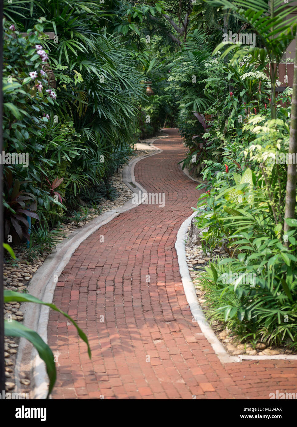 Curve pavement road in a garden Stock Photo - Alamy
