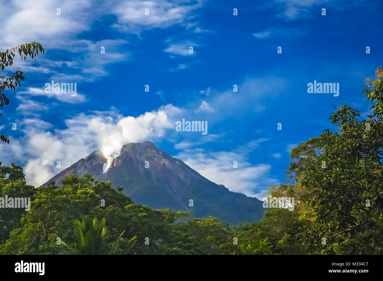 Tropical landscape on the Indonesian island of Flores Stock Photo - Alamy