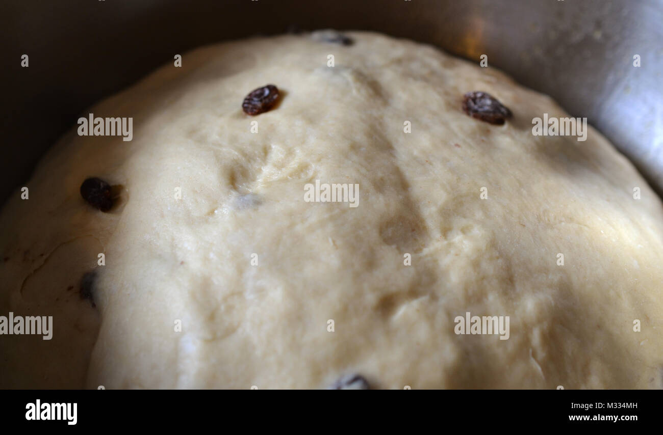 Cinnamon Raisin Bread rising in bowl Stock Photo - Alamy