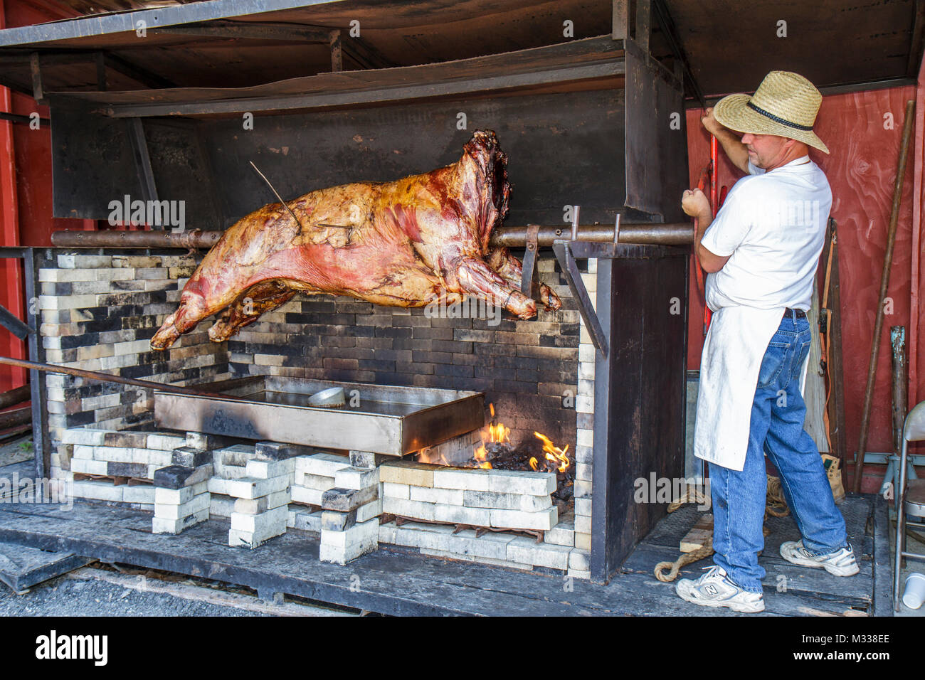 Ox animal hi-res stock photography and images - Alamy