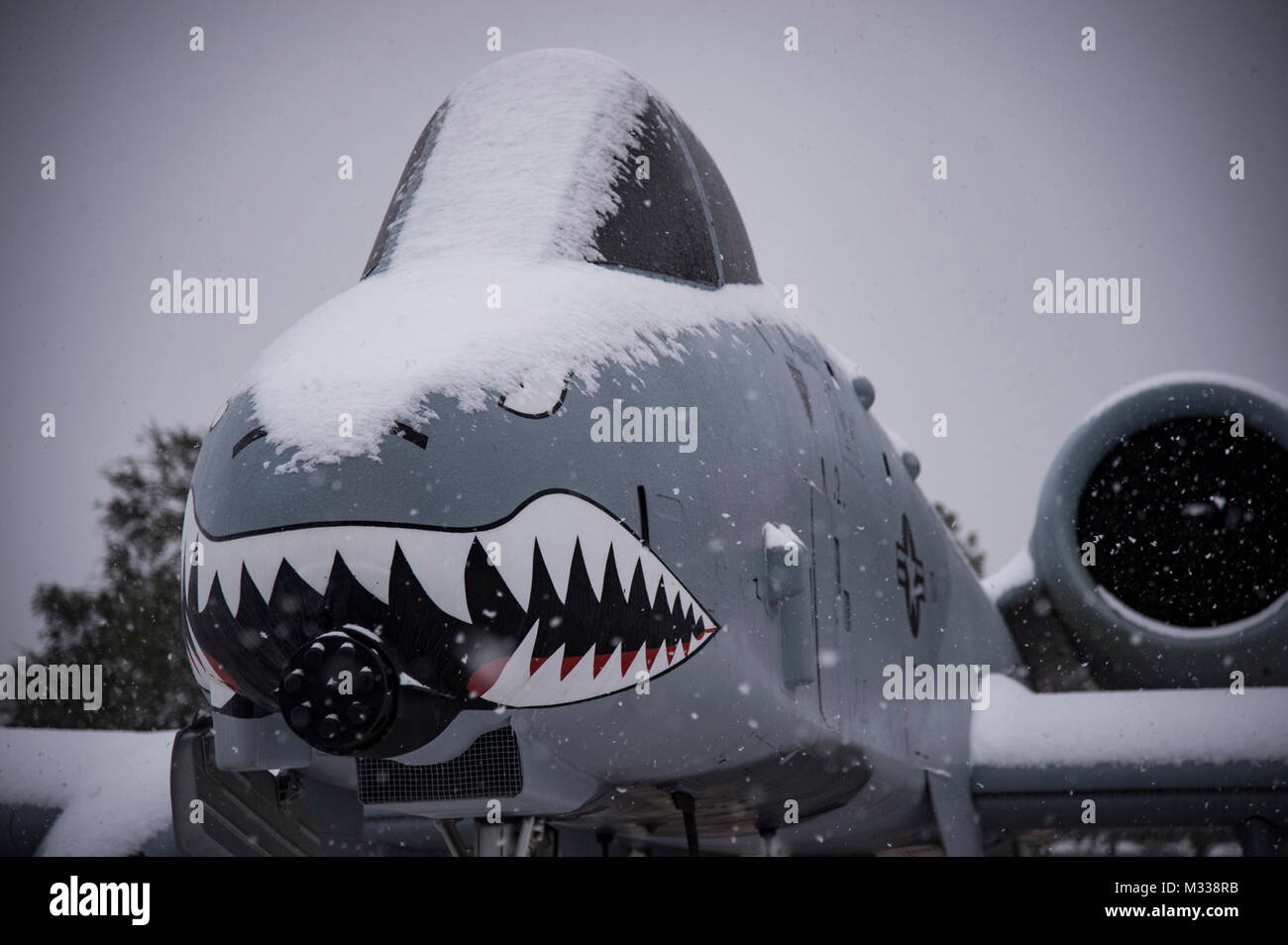 Snow covers the A-10 Thunderbolt II static in the George W. Bush Air ...
