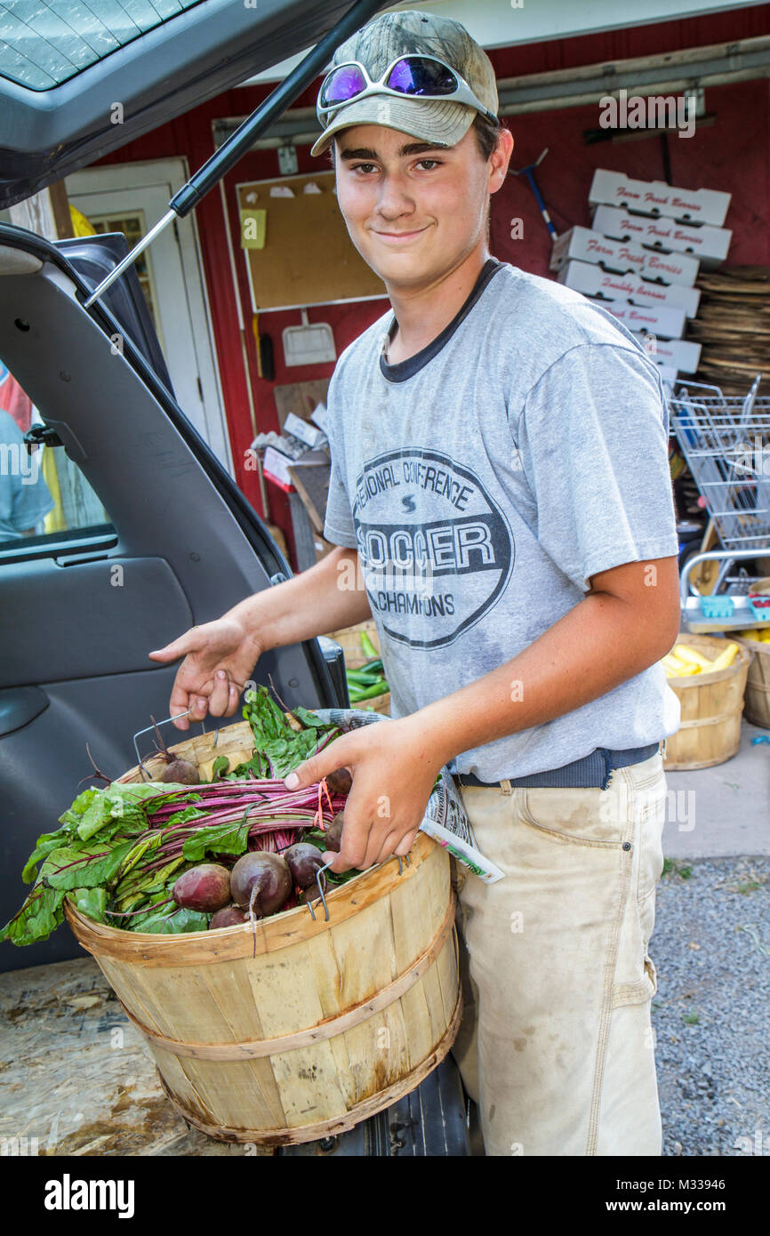 Pennsylvania,PA,Northeastern,Kintnersville,highway Route 611,Trauger's ...