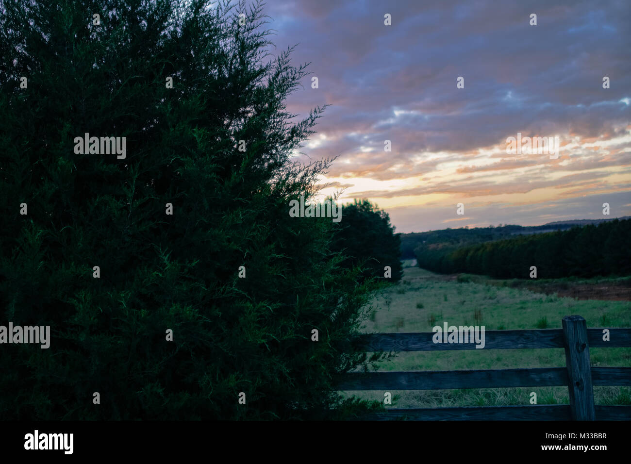 Cedar fence posts hi-res stock photography and images - Alamy
