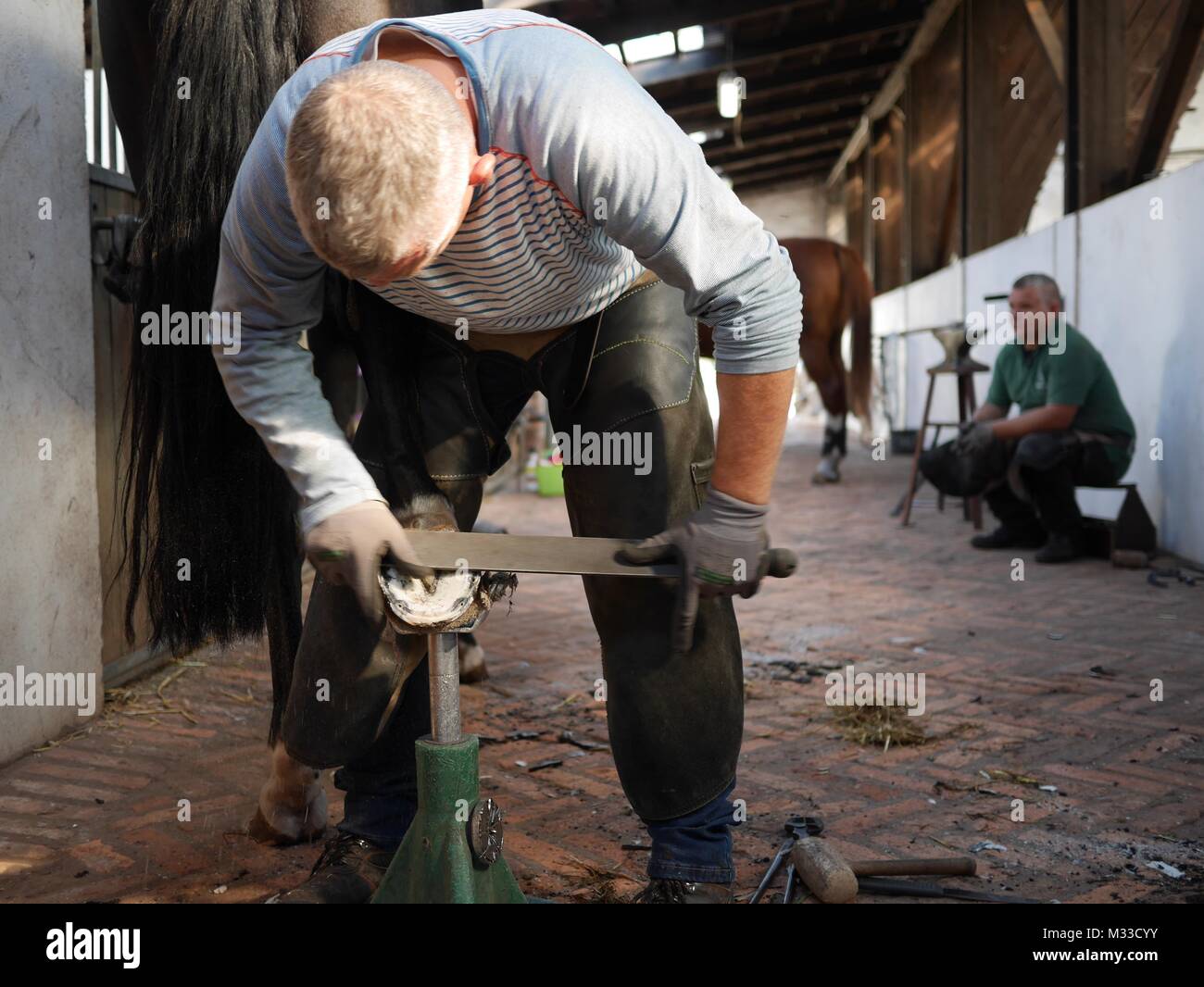 Horseshoe farrier hi-res stock photography and images - Alamy