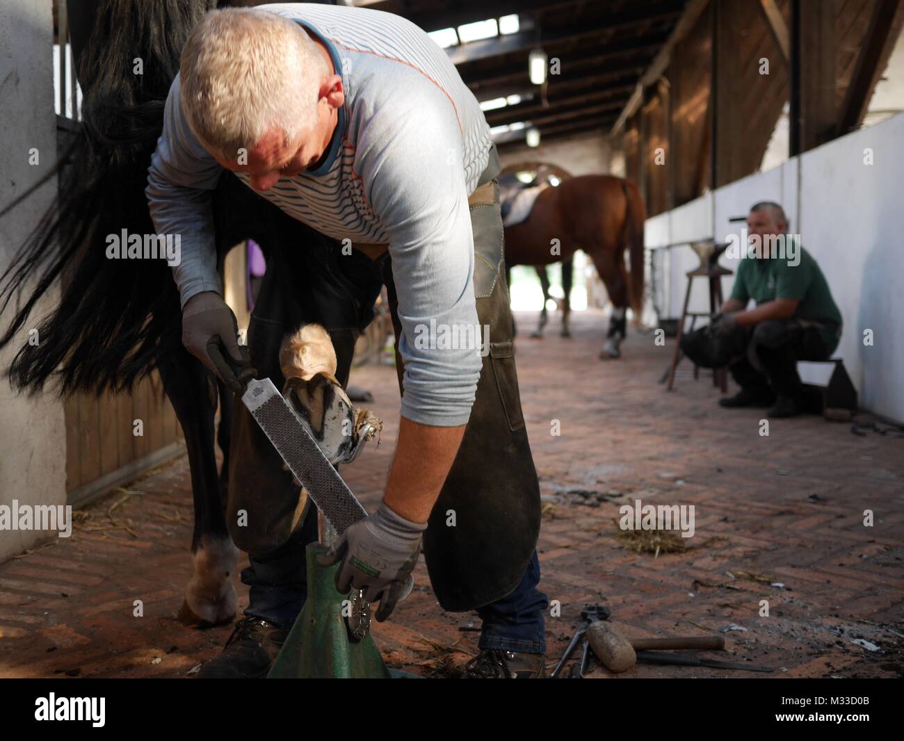 Horseshoe farrier hi-res stock photography and images - Alamy