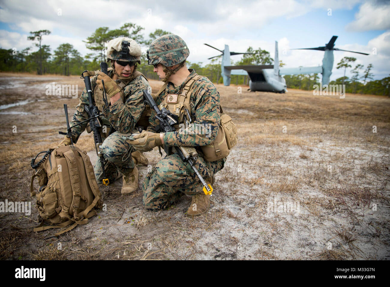 Marine Infantry Officer