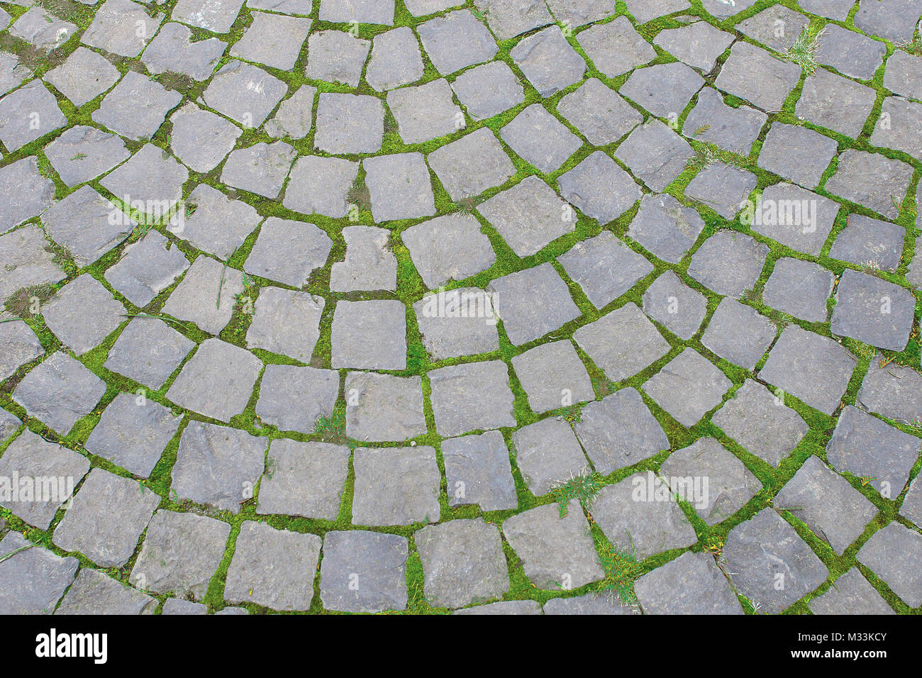 Texture of a cobblestone road, background, texture. a stone road in the ...