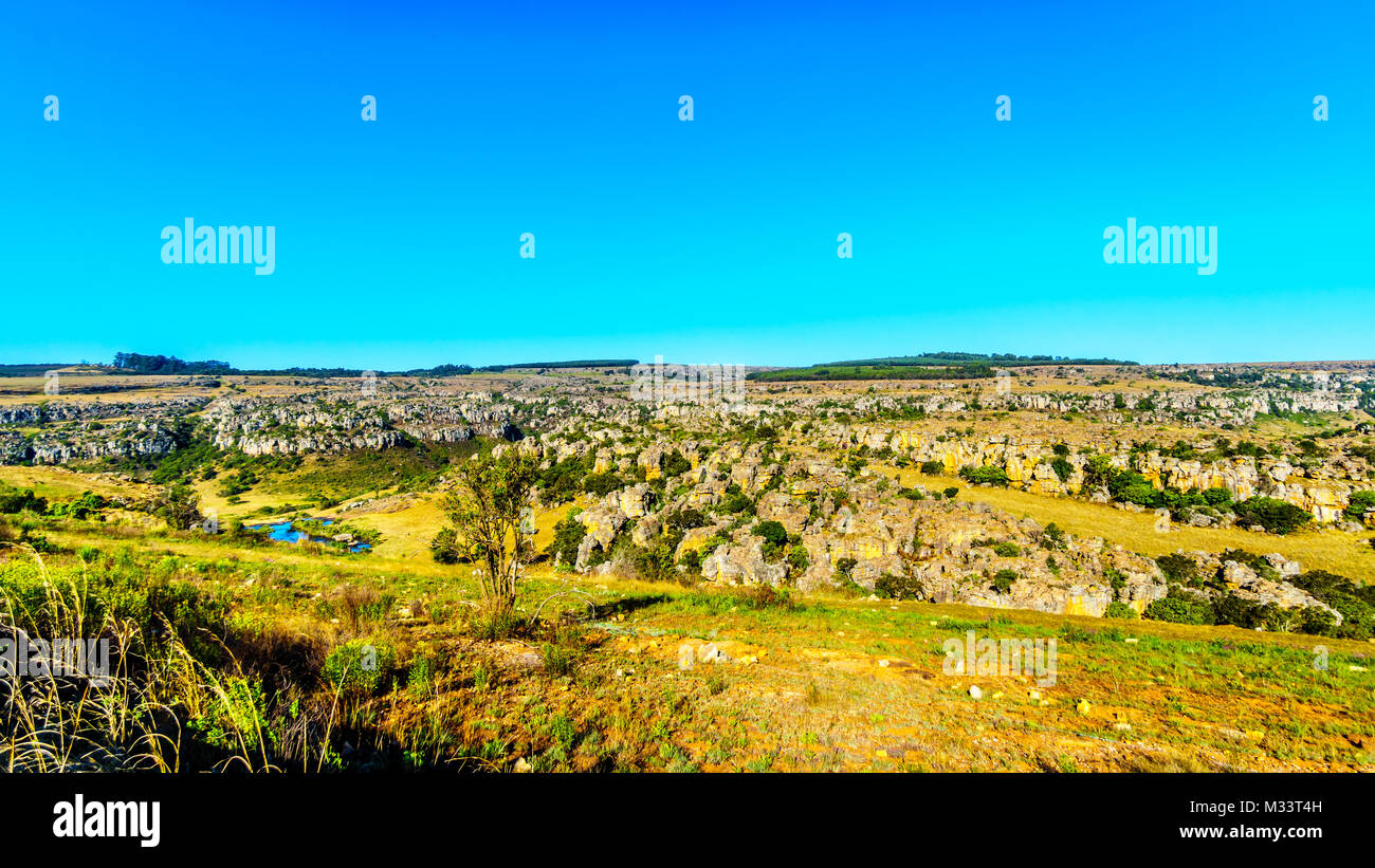 Scenery of the highveld along the Panorama Route in Mpumalanga Province ...