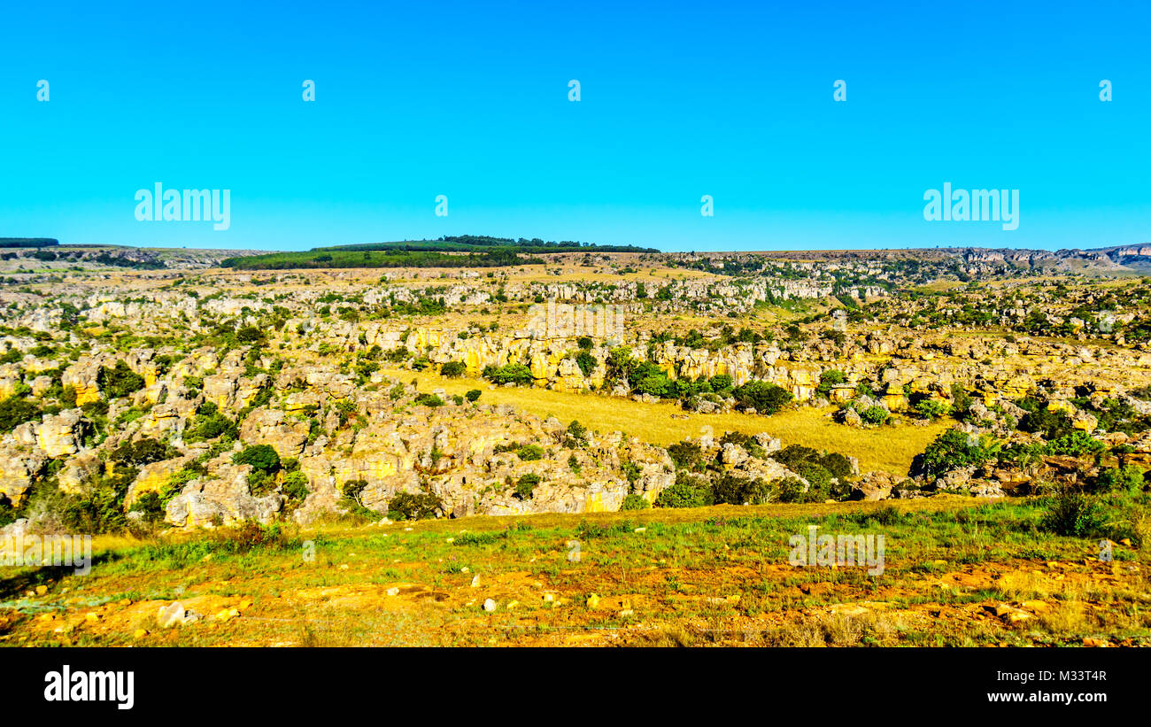 Scenery of the highveld along the Panorama Route in Mpumalanga Province ...