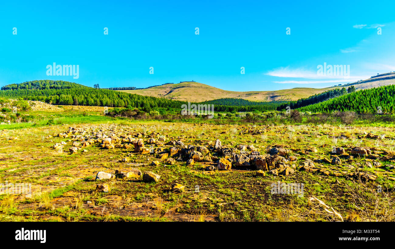 Scenery of the highveld along the Panorama Route in Mpumalanga Province ...