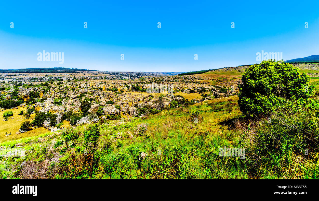 Scenery of the highveld along the Panorama Route in Mpumalanga Province ...