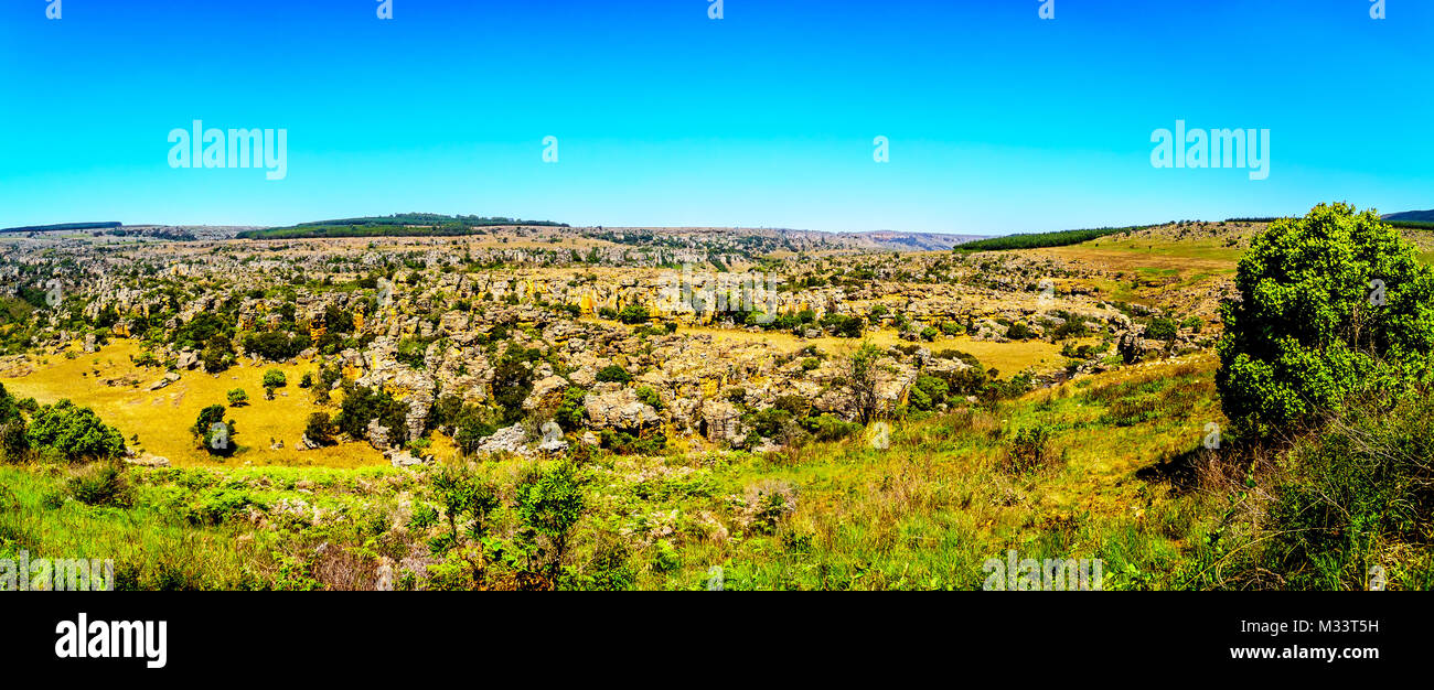 Scenery of the highveld along the Panorama Route in Mpumalanga Province ...