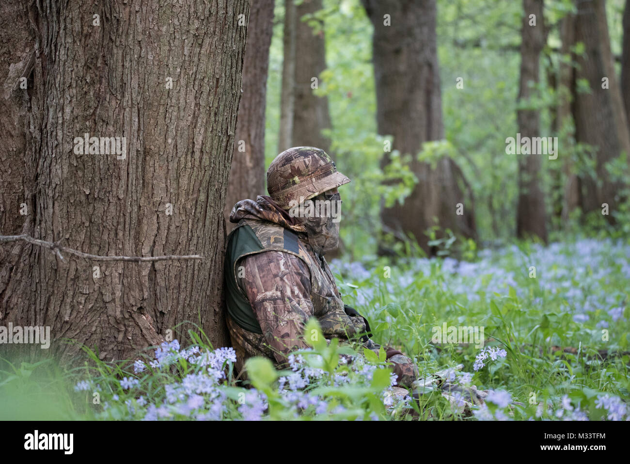 Camouflaged hunter patiently waiting in the forest Stock Photo - Alamy