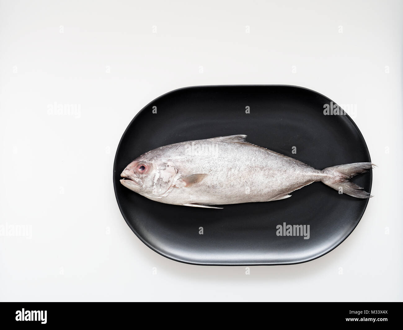 Black kingfish hi-res stock photography and images - Alamy