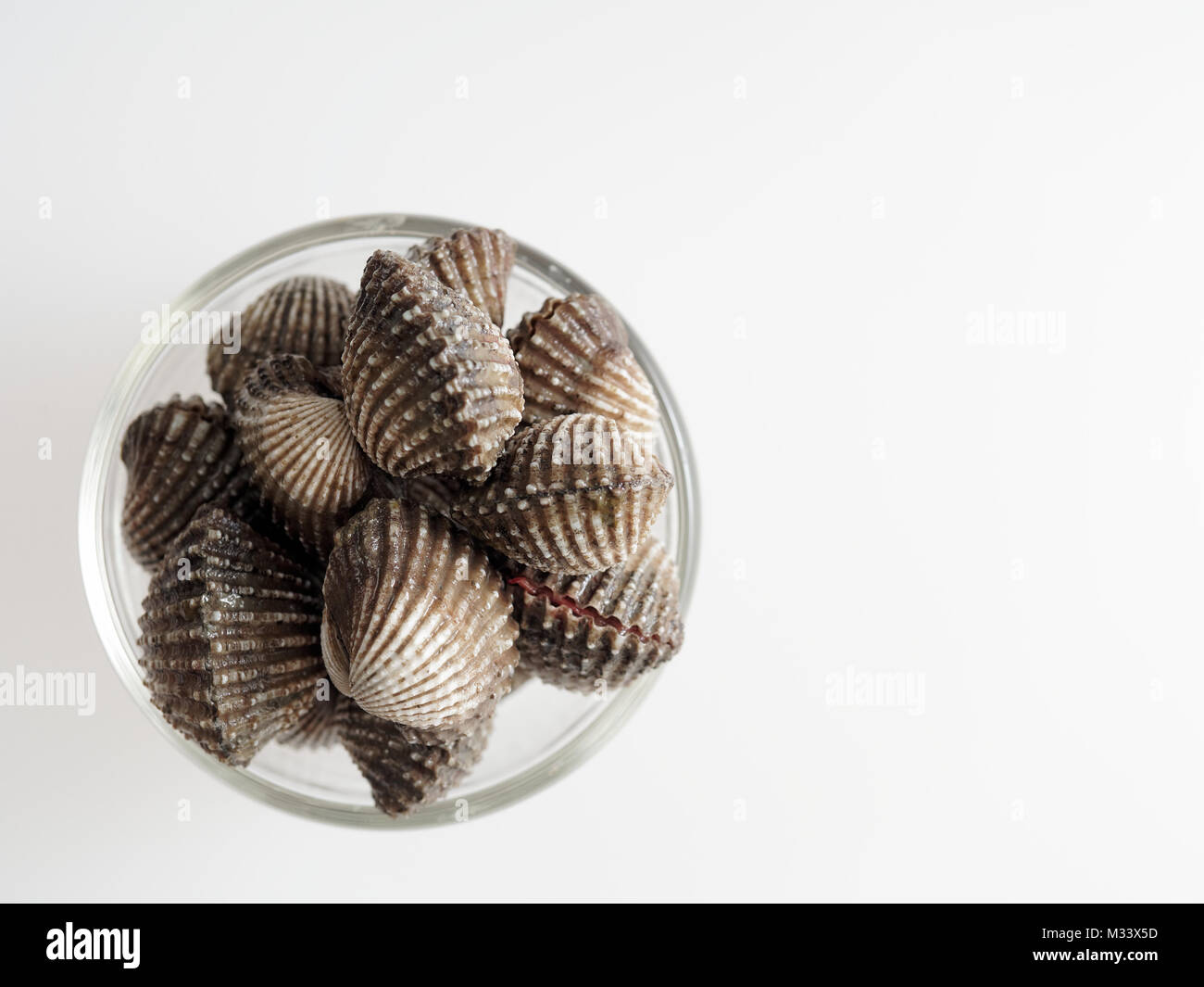 A group of raw cockle, ark shell, in a glass bowl isolated on white ...