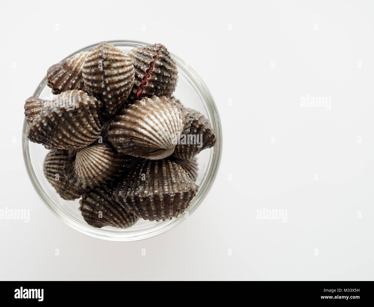 A group of raw cockle, ark shell, in a glass bowl isolated on white ...