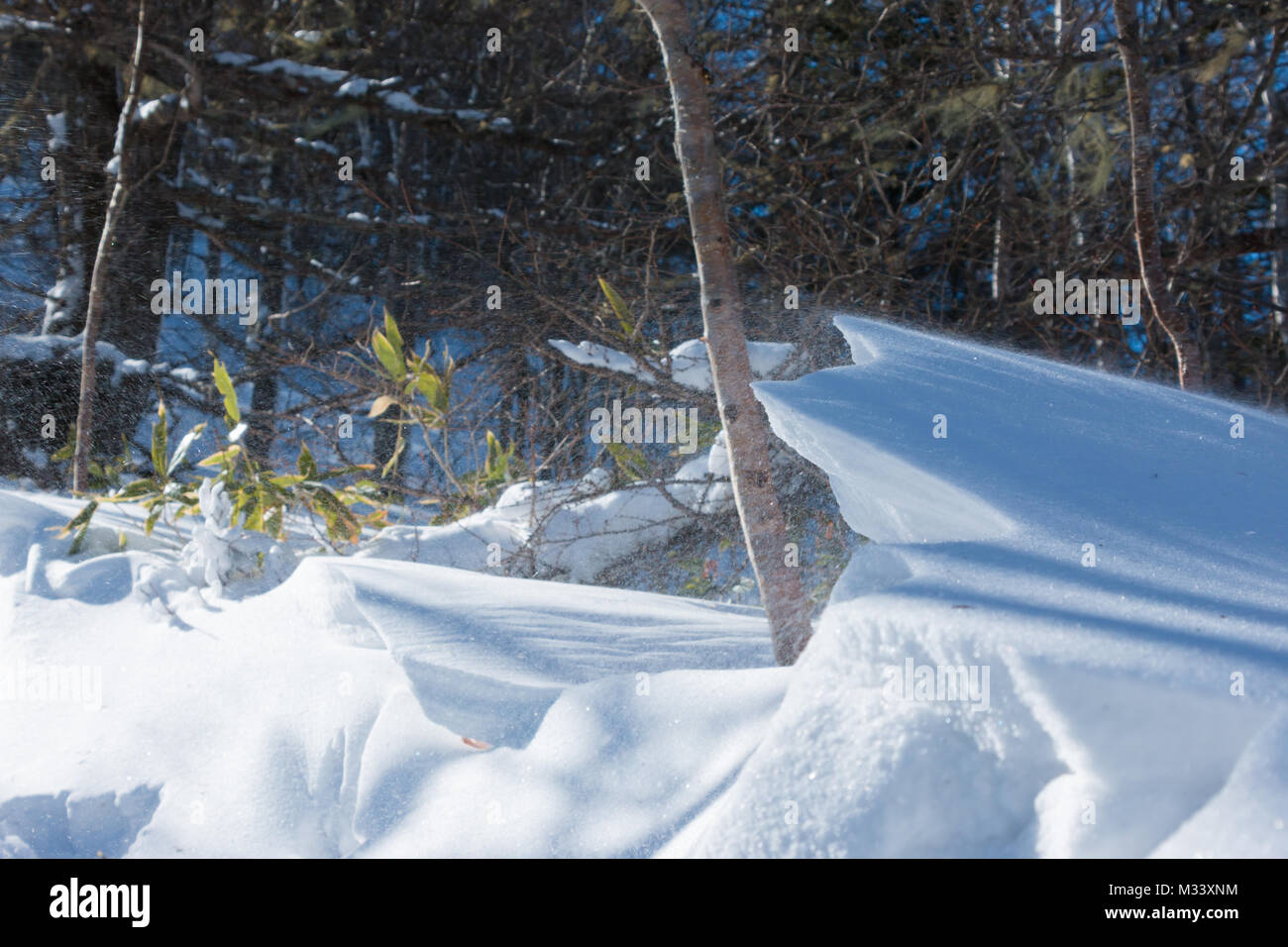 Drifting with the wind hi-res stock photography and images - Alamy