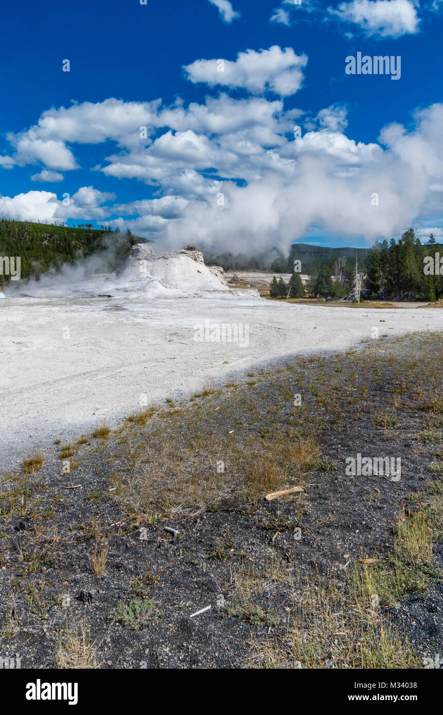 A bison geyser yellowstone hi-res stock photography and images - Alamy