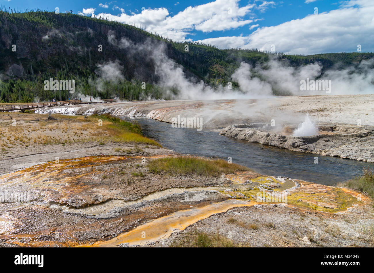 Orange algae hi-res stock photography and images - Alamy
