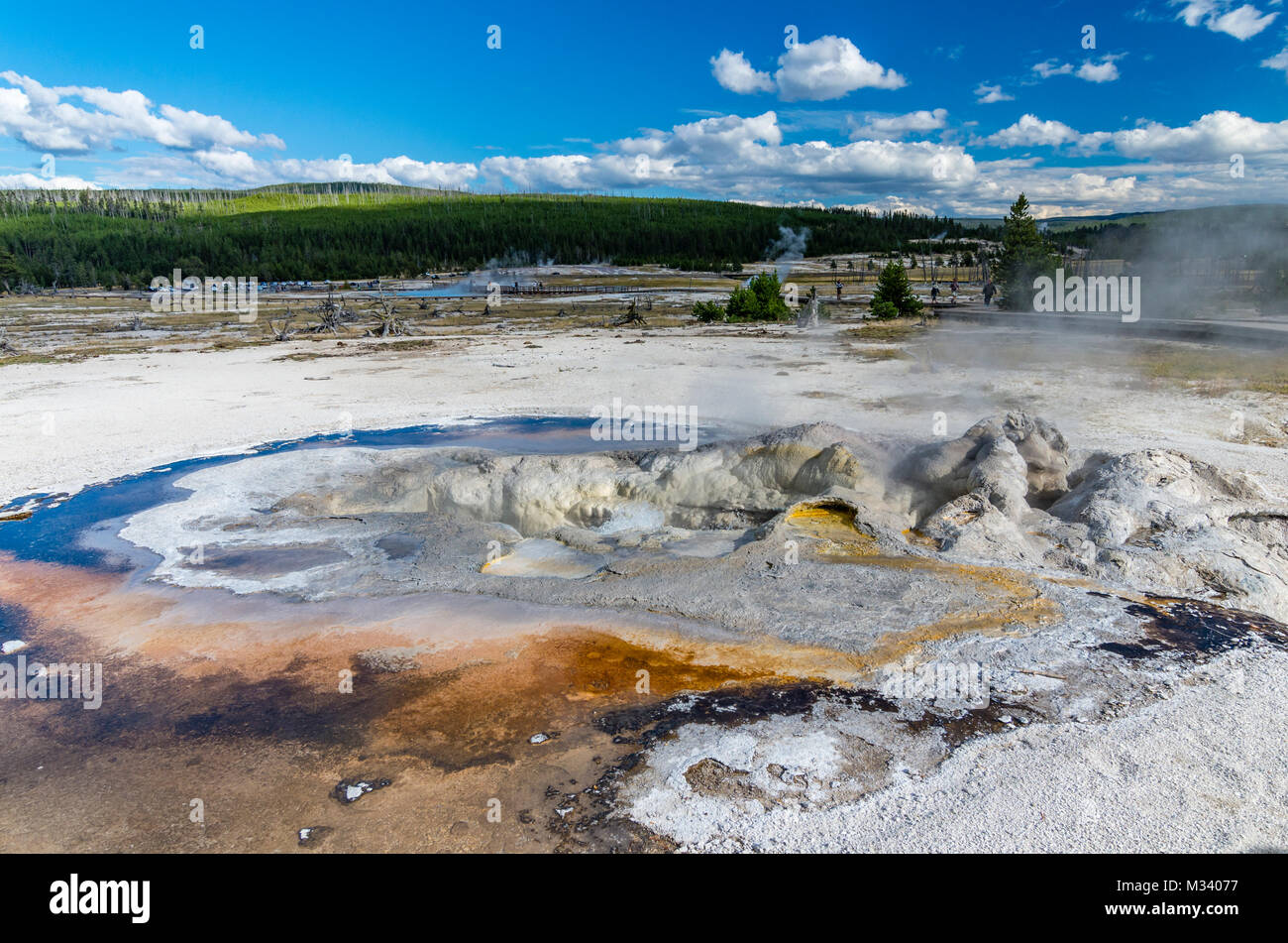Biscuit basin area hi-res stock photography and images - Alamy
