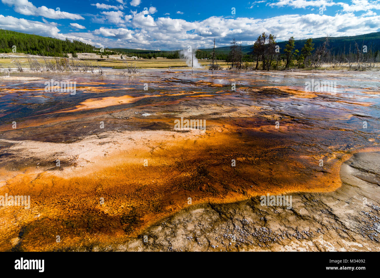 Warm water flowing from hot springs supports colorful microbial growth ...