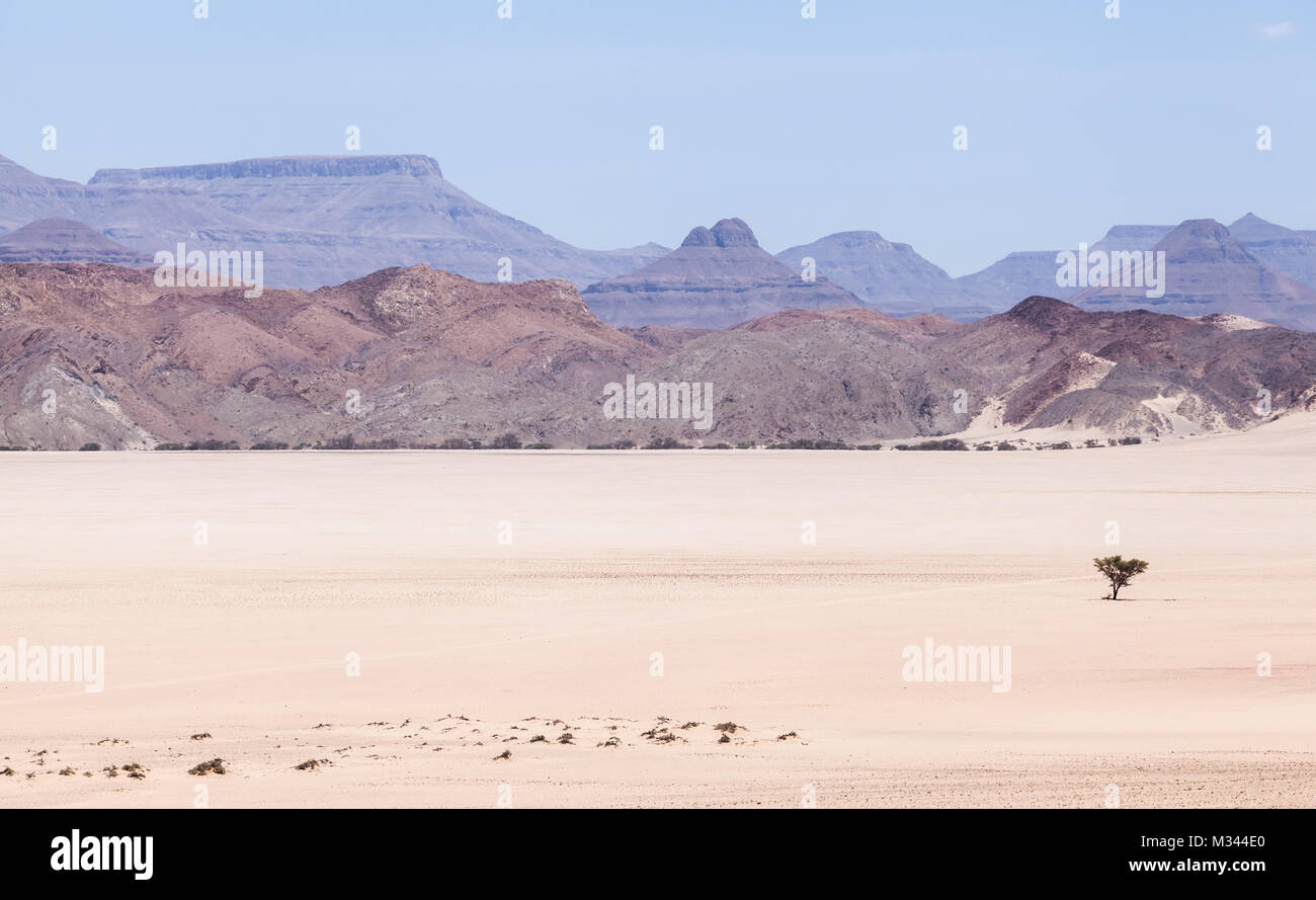 Lone tree in Mountain Desert landscape, Namibia Stock Photo - Alamy