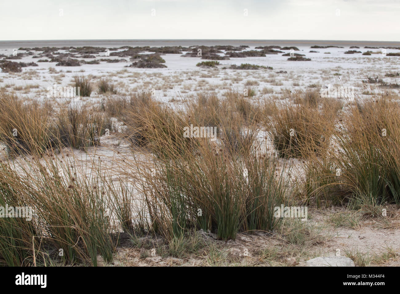 Namibia salt pans hi-res stock photography and images - Alamy